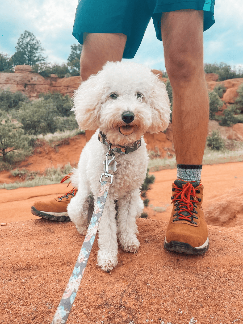 How to Spend 2 Dog Friendly Days in Colorado Springs - Keith & Hannah